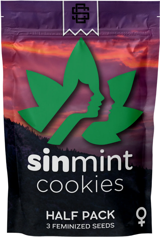 SINCITY SEEDS – SKDHOR Beans & Merch Novelty Store