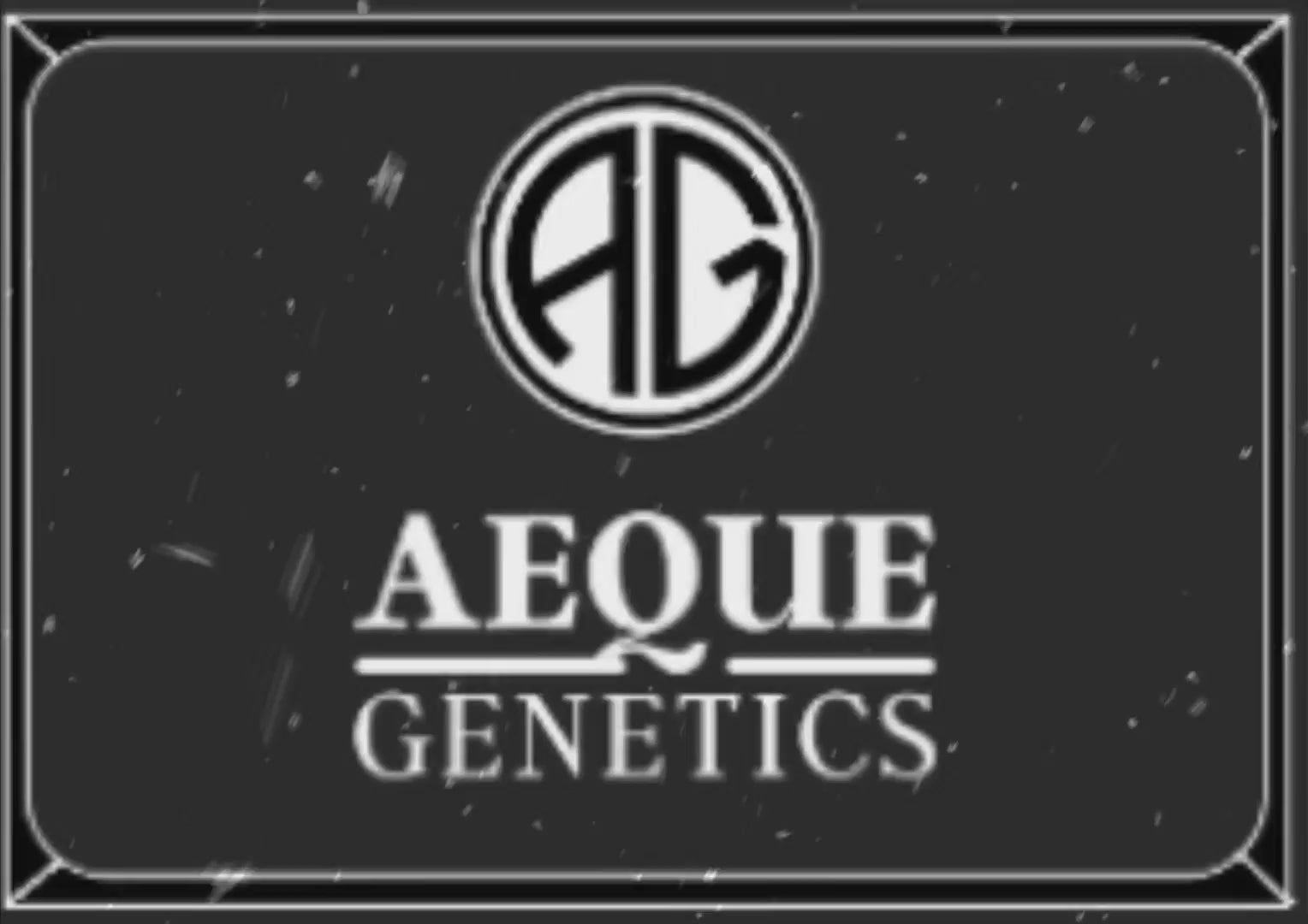 AEQUE Genetics – SKDHOR Beans & Merch Novelty Store